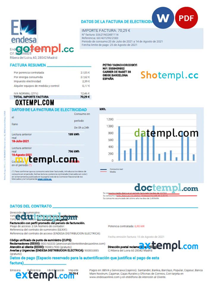 SPAIN ENDESA utility bill download Word and PDF example - Mytempl
