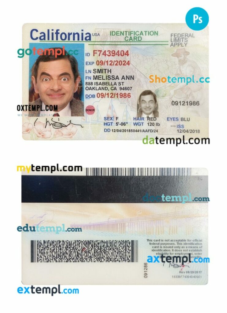 USA California ID card PSD template – Mytempl