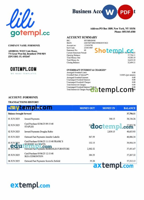 USA Lili organization account statement Word and PDF template – Mytempl