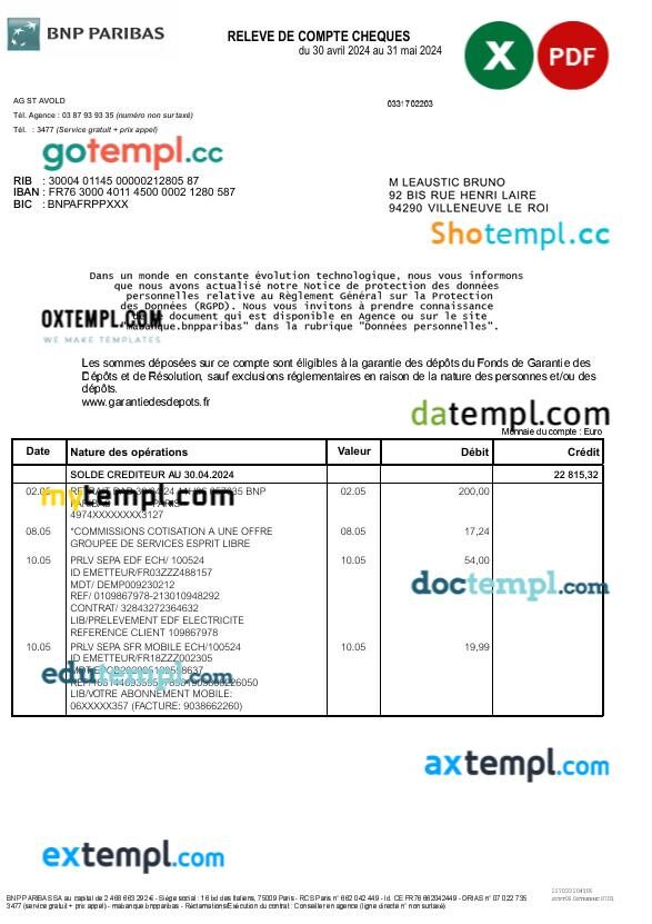 France BNP Paribas bank statement template in Excel and PDF formats ...